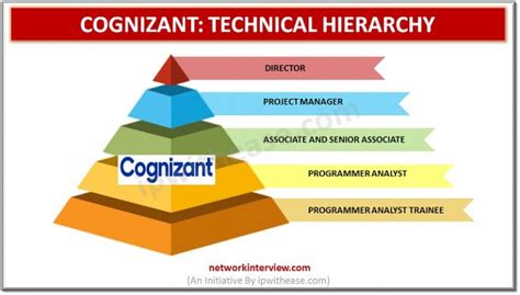 Technical Hierarchy Cognizant Job Roles Network Interview