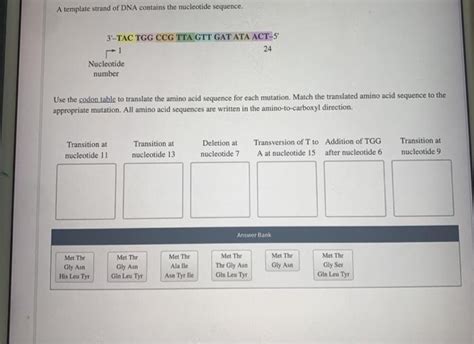 Solved The Given DNA Non Template Sequence Coding Sequence Chegg