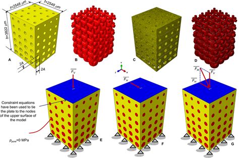 parametric finite element model of the functionally graded scaffold download scientific diagram