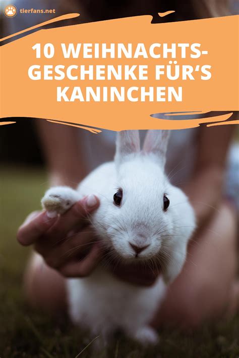 Du suchst nach Ideen und Geschenken für deinen Hasen oder dein