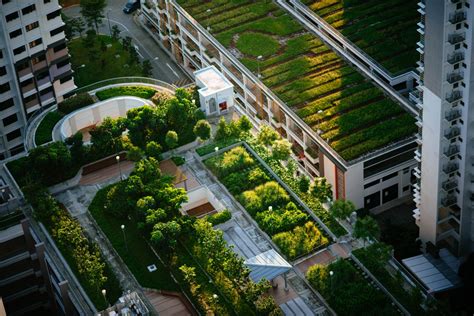 4 Beneficios De Los Techos Verdes Verde Vida Verde