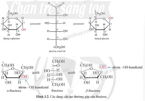 Lý thuyết Glucose và fructose Hóa 12 Chân trời sáng tạo SGK Hóa 12