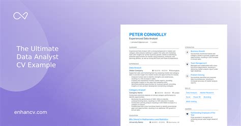 3 Data Analyst CV Examples For 2024