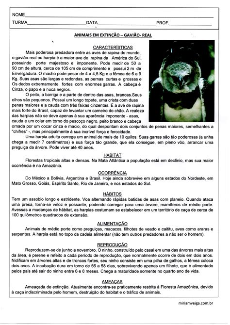 Animais em extinção Gavião Real Texto Alfabetização Blog