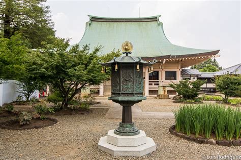 Gotokuji El Templo De Los Gatos Maneki Neko Japonismo