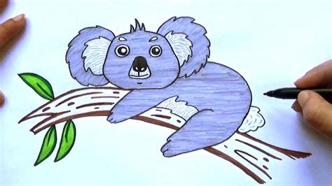 Cómo dibujar un KOALA fácil y paso a paso YouTube