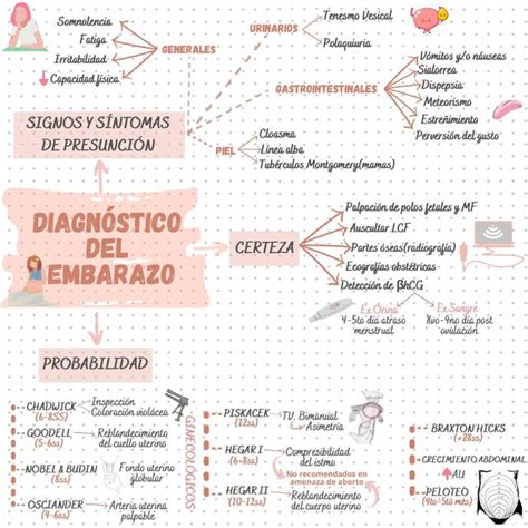 Diagnostico De Embarazo 6b U5ch
