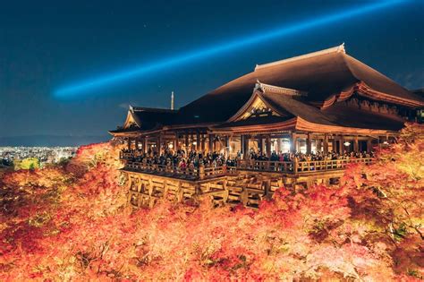 2022年京都で夜間ライトアップがある紅葉イベント10選名所穴場を紹介 DOKUJO どくじょ