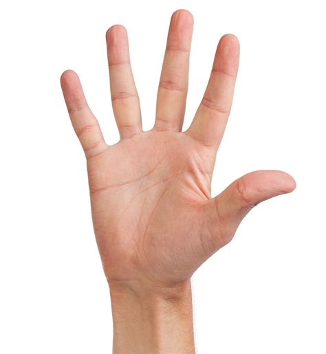 Product Testing Volunteers Needed Transthetics