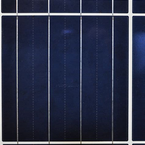 Pv Module Risen Solar Rsm P Wp Poly Secondsol