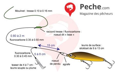 Guide Ultime de la Pêche du Bar en Bretagne Spots Techniques et