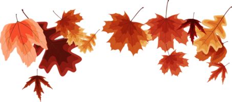 Hoja de otoño png Download Free Png Images