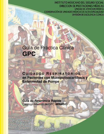 Pdf Gu A De Pr Ctica Cl Nica Gpc Imss Gob Mx Cuidados