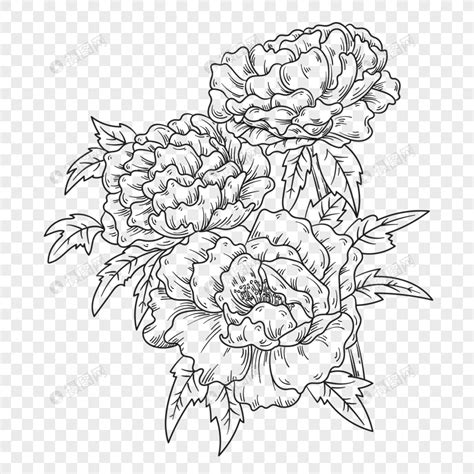 手绘牡丹花简笔画线描元素素材下载 正版素材401693594 摄图网
