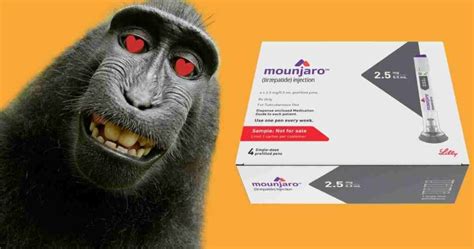 Mounjaro Weight Loss Updates And New 2023 Tirezepatide Info