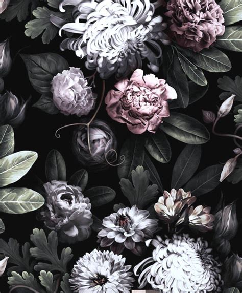Beautiful Black And White Flower Wallpapers Top Free Beautiful Black
