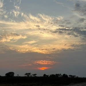 J Playlist By Cami Spotify