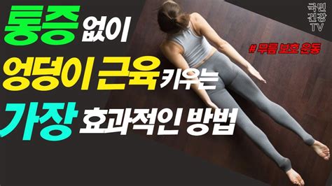통증 없이 엉덩이 근육 키우는 가장 효과적인 방법 관절에 부담 없는 운동 중년 근력 운동 무릎 안아픈 하체운동 스쿼트
