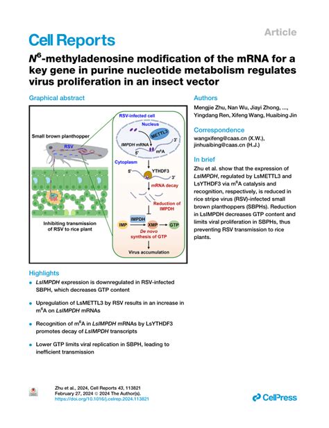 PDF N6 Methyladenosine Modification Of The MRNA For A Key Gene In