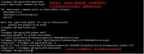 python多环境管理神器（pipenv） doublexi 博客园