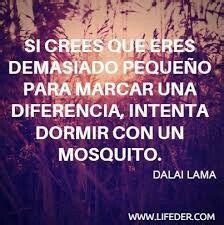 Pin de Maria Luisa Quintero en BUDA Pensamientos Soy Generación