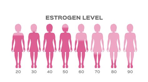 How To Lower Estrogen In Women It Helps In The Functioning Of The