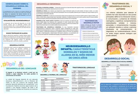 Neurodesarrollo Infantil Características Normales y Signos de Alarma