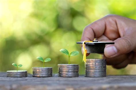 Educa O Financeira Saiba O Que E Qual A Sua Import Ncia