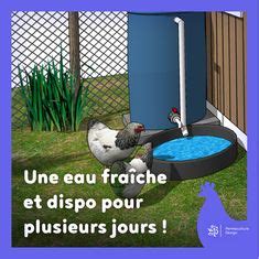 23 idées de Distributeurs automatique d eau pour vos poules