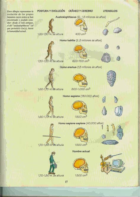 historia1 42 Sobre el proceso de hominización
