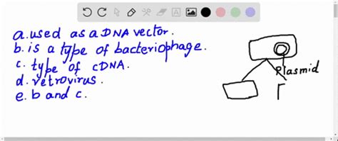 SOLVED A Plasmid A Can Be Used As A DNA Vector B Is A Type Of