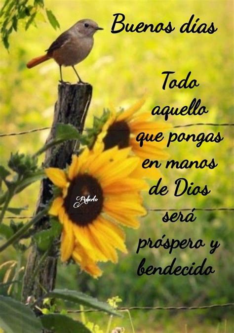 Pin By Roberto Garcia On Buenos D As Dios Te Bendiga Good Morning