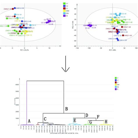 principal component analysis orthogonal partial least squares download scientific diagram