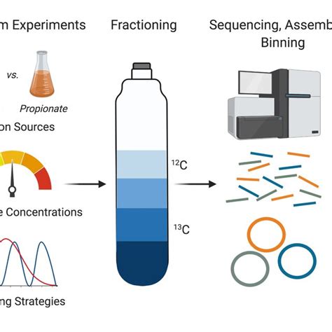 Dna Stable Isotope Probing Sip Paired With Genome Resolved