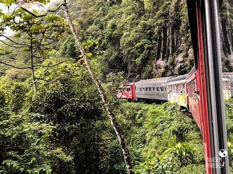 Passeio de Trem Curitiba x Morretes 8 dicas infalíveis ingresso