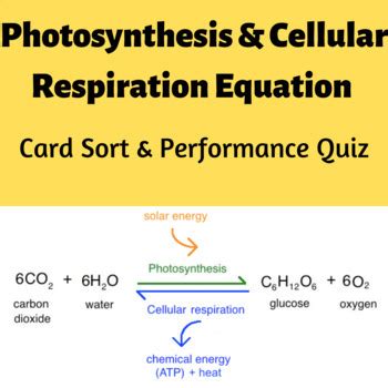 Photosynthesis Cellular Respiration Equation Card Sort Performance Quiz