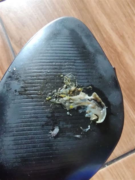 Pin Von Bev Writer Auf Schnellgemerkte Pins Schuhe