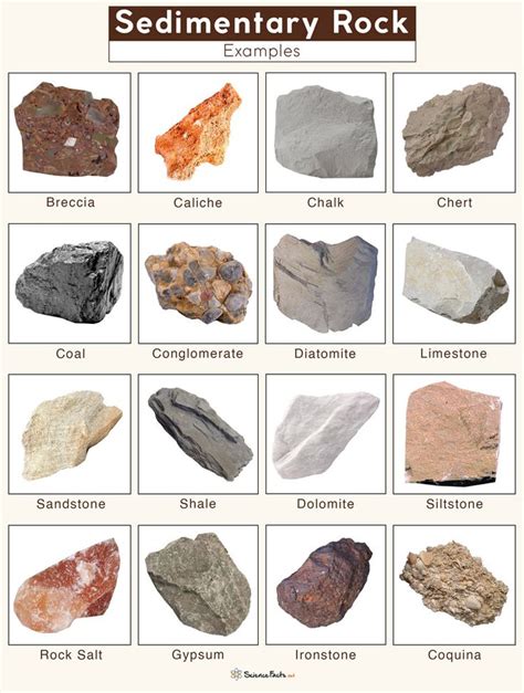 The Different Types Of Rocks Are Shown In This Chart Which Shows Them
