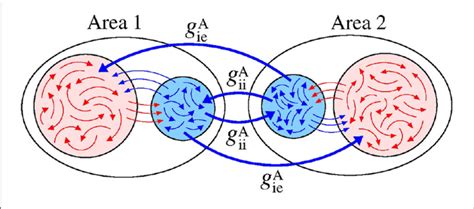 Schematic Representation Of Bidirectional Interaction Between The
