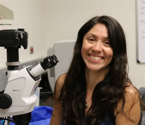 Itzel Sifuentes Romero Department Of Ecology Evolution And