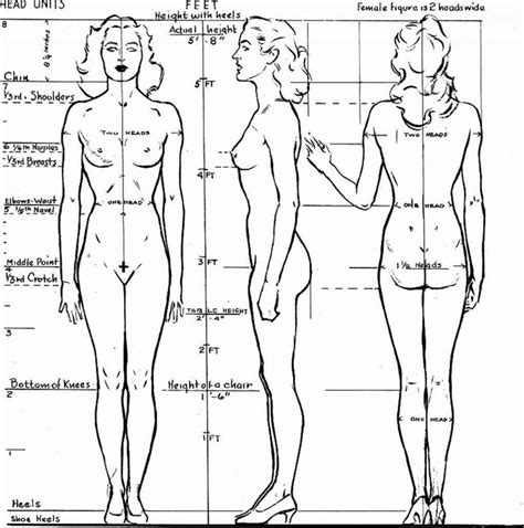Ideal Proportion Female Ideal Proportion Joshua Nava Arts Figuras