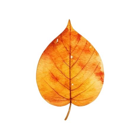 Hojas de otoño de acuarela Vector Premium