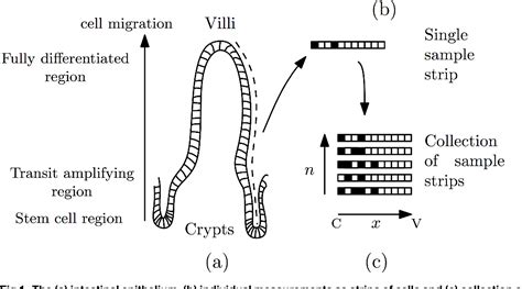 figure 1 from a hierarchical bayesian model for understanding the spatiotemporal dynamics of the