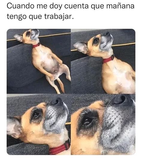 Ya borré WhatsApp cualquier cosa por El ayyayay Memes