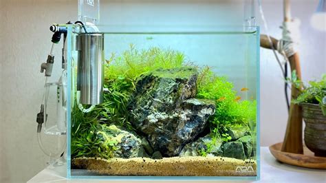 The Story Of Nano Iwagumi Aquascape Episode Youtube