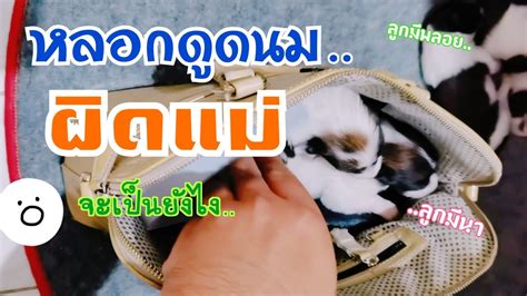 หลอก เอาลกแมมนา มากนนมแมมพลอย จะเปนยงไง จะโดนกดไหมอะ