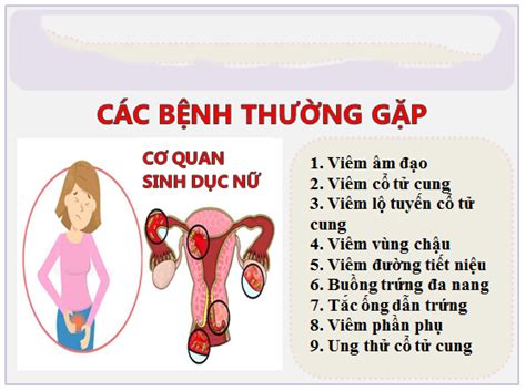 Ngứa bộ phận sinh dục nữ