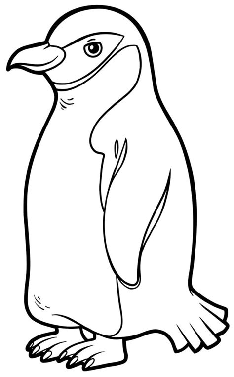 Pinguim Feliz Inverno Para Colorir Imprimir E Desenhar Colorirme Porn