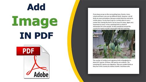 how to add crop marks on specific pages in pdf using adobe acrobat pro dc artofit