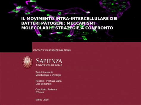 PPT IL MOVIMENTO INTRA INTERCELLULARE DEI BATTERI PATOGENI
